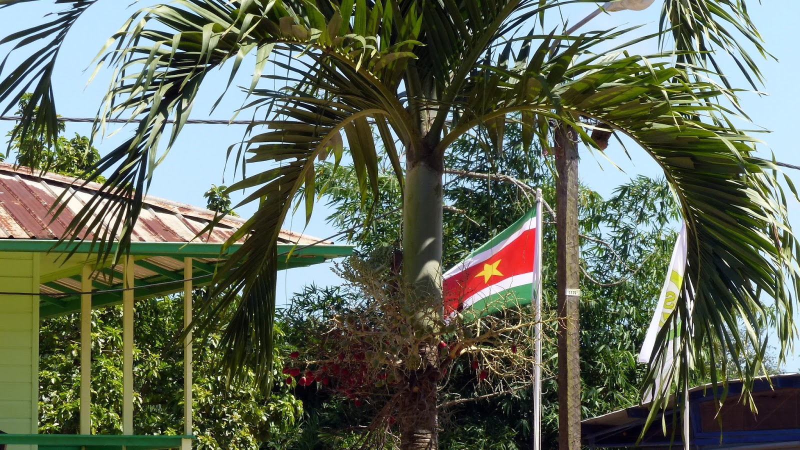 Suriname - NarcisoUnimog